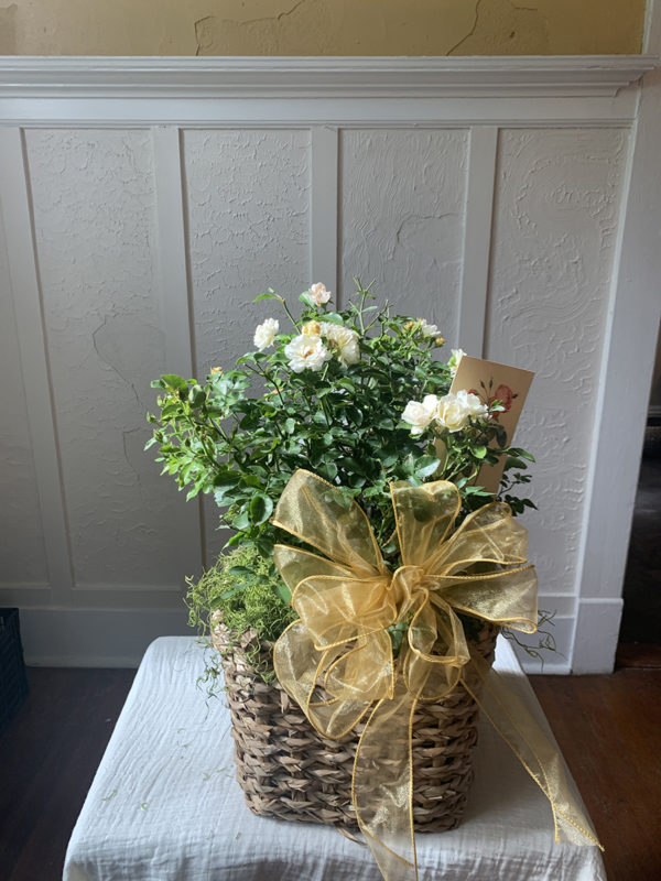 LaGrange, GA Sympathy Floral Arrangements - WILDFLOWER MJ